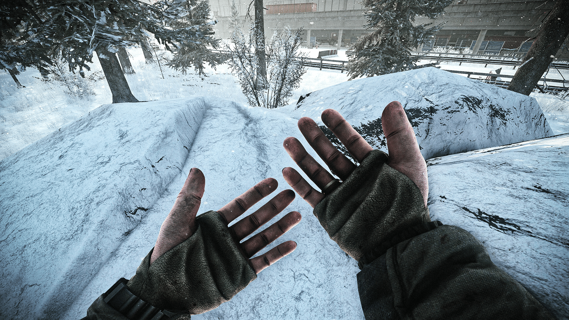 Escape from Tarkov: Bear- Senezh (2026) - Steam Games