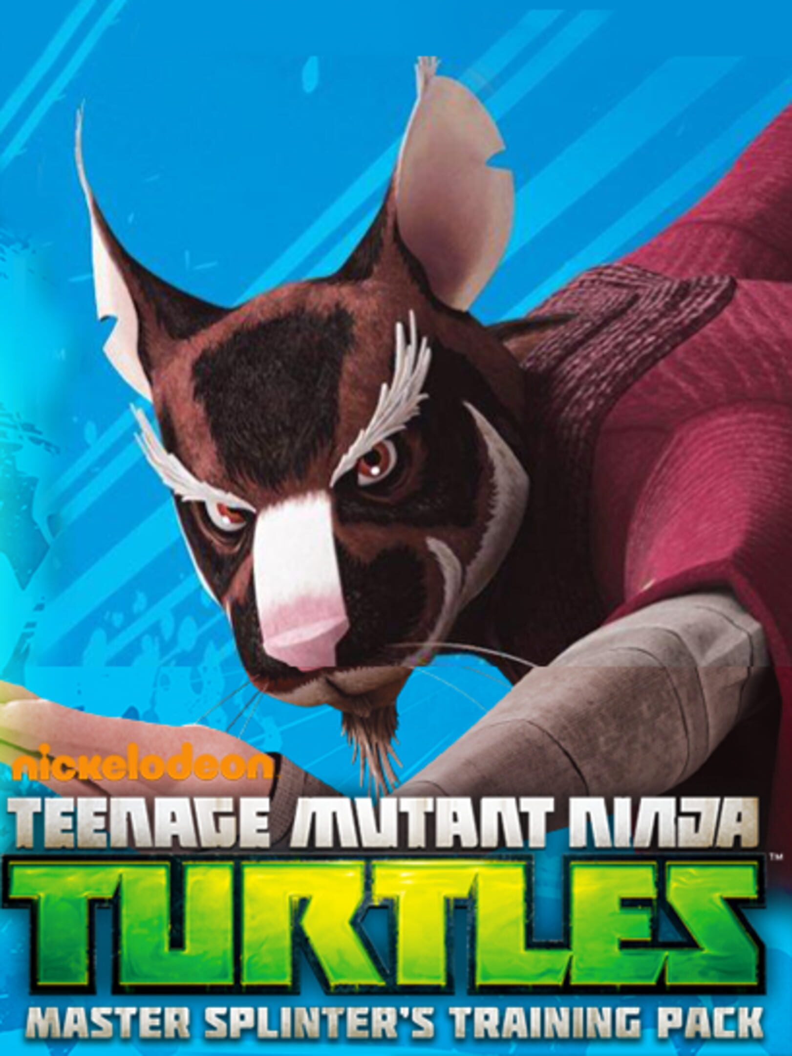 Teenage Mutant Ninja Turtles: Master Splinter's Training Pack | Stash ...
