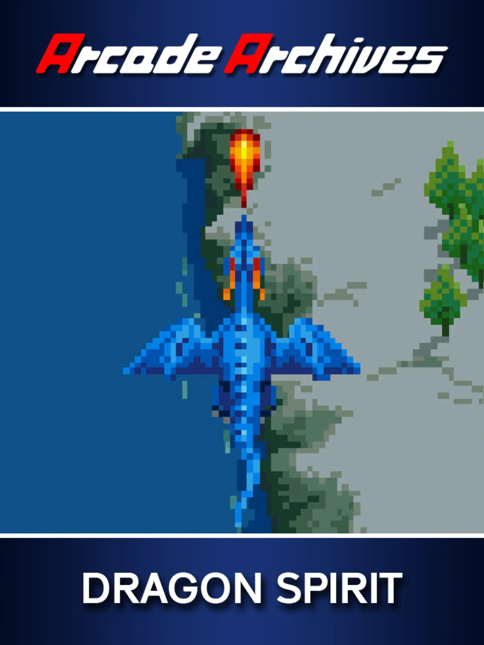 Arcade Archives: Dragon Spirit | Stash - Games tracker
