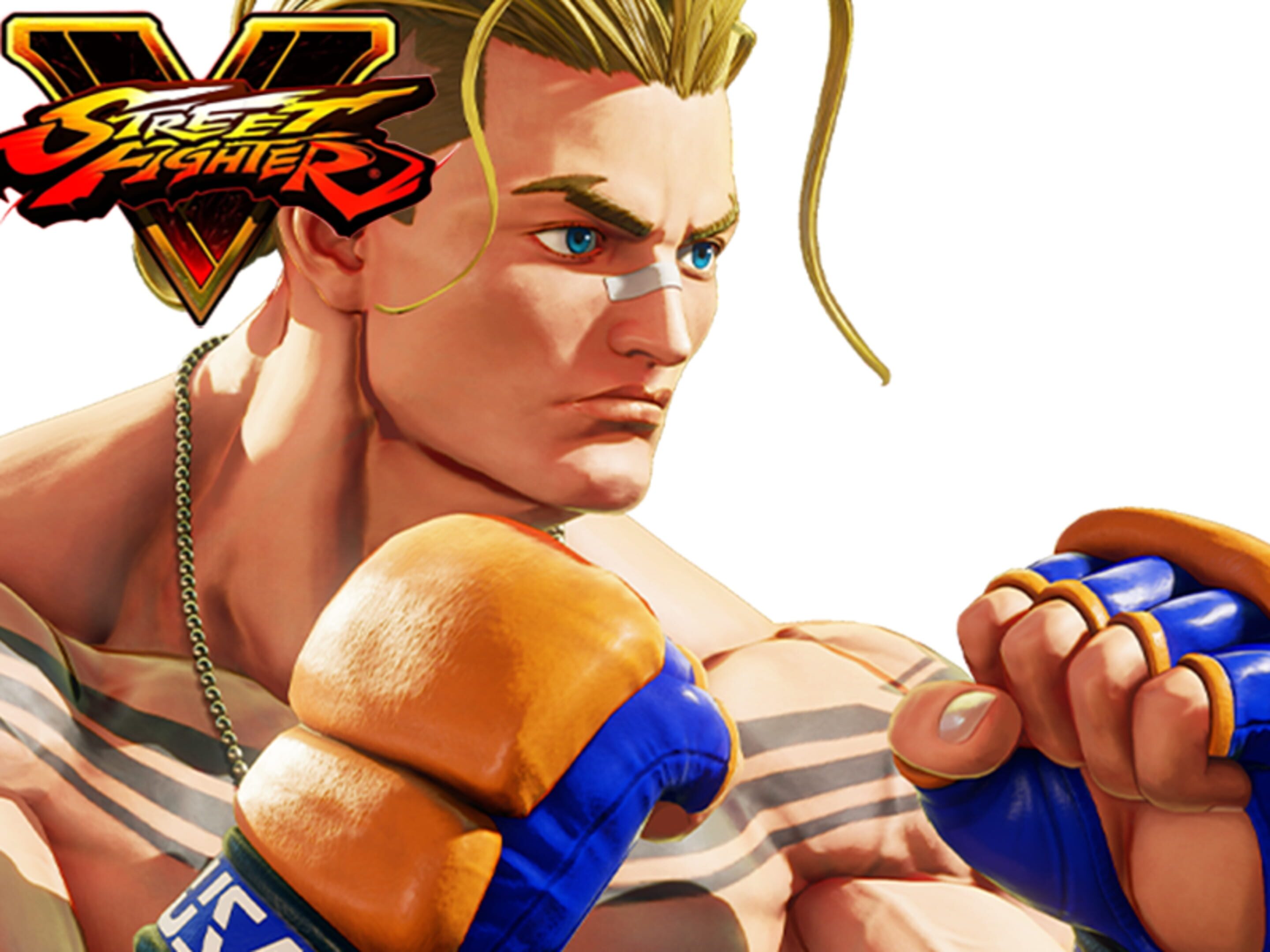 Street Fighter V: Luke | Stash - Games tracker