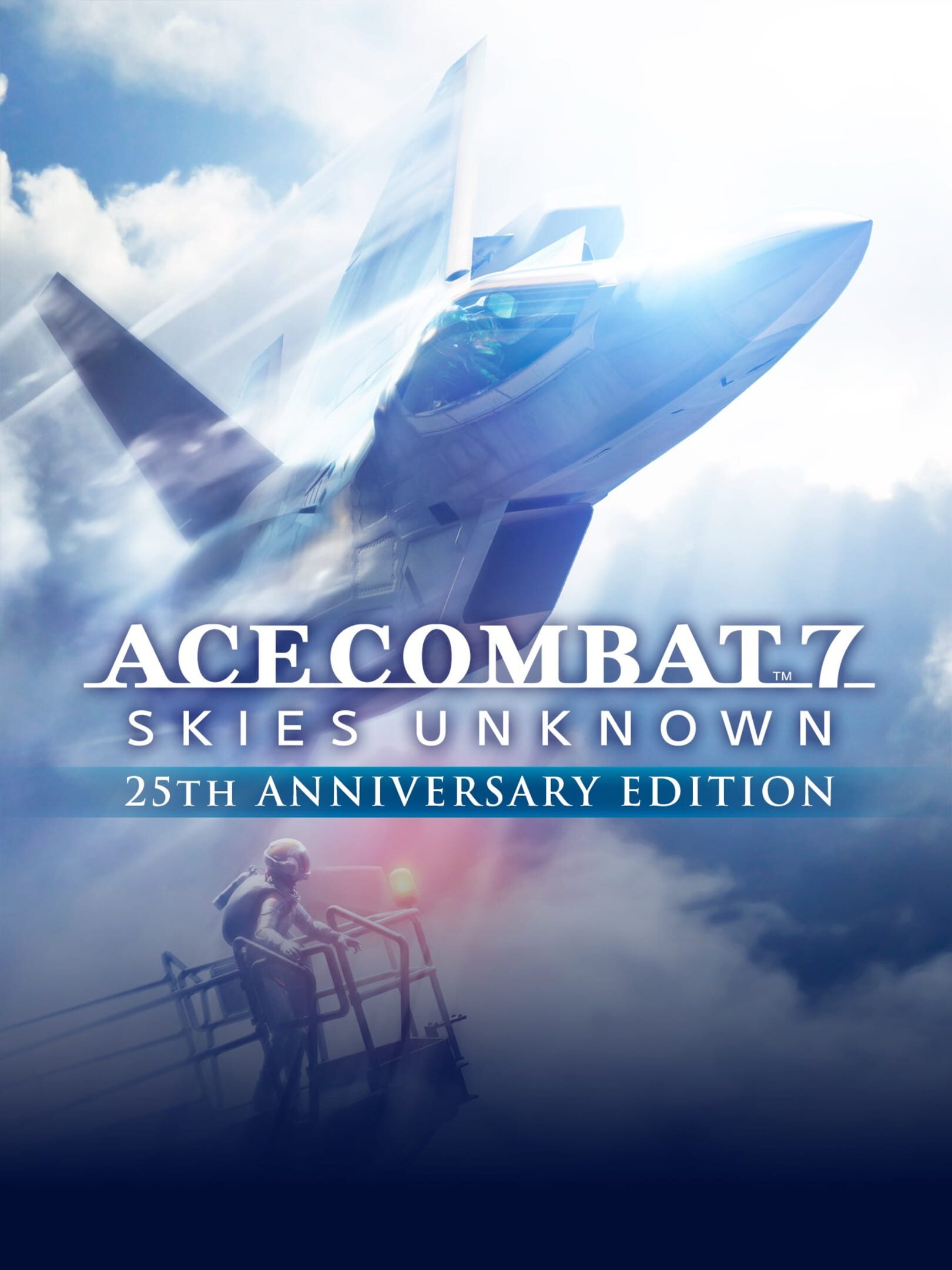 Ace Combat 7: Skies Unknown - 25th Anniversary Edition | Stash - Games ...