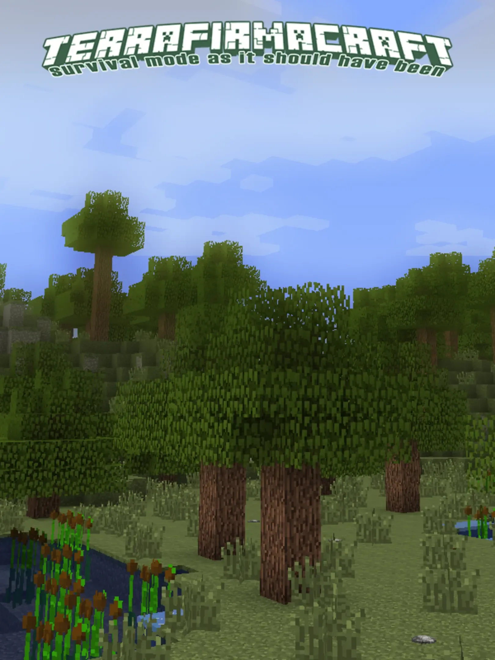 TerraFirmaCraft | Stash - Games tracker