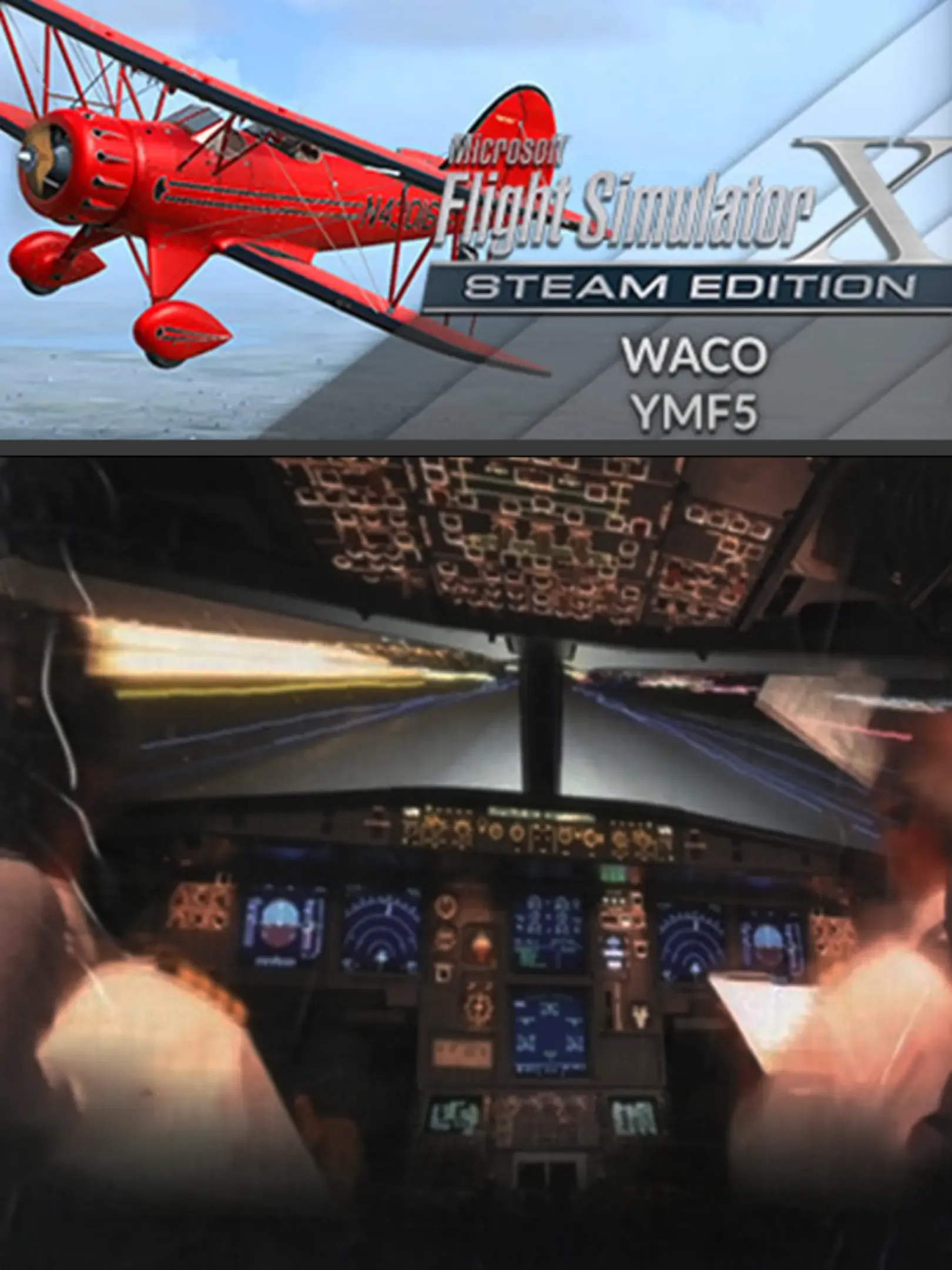 Microsoft Flight Simulator X: Steam Edition - WACO YMF5 | Stash - Games tracker