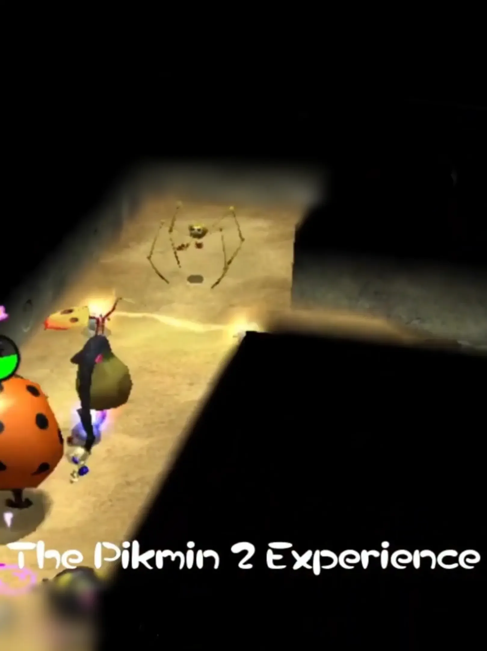Pikmin 2: The Pikmin 2 Experience | Stash - Games tracker