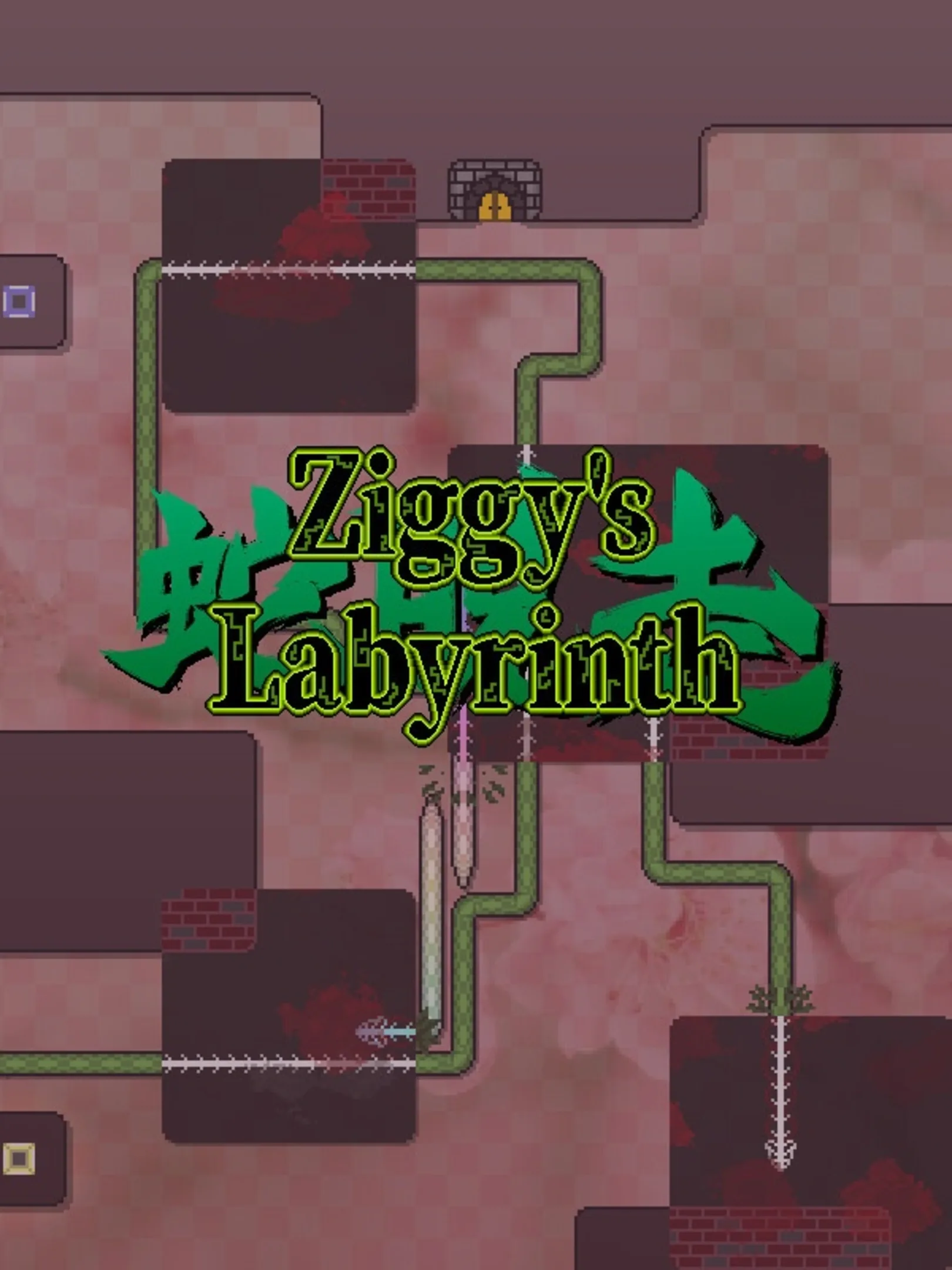 Ziggy's Labyrinth | Stash - Games tracker