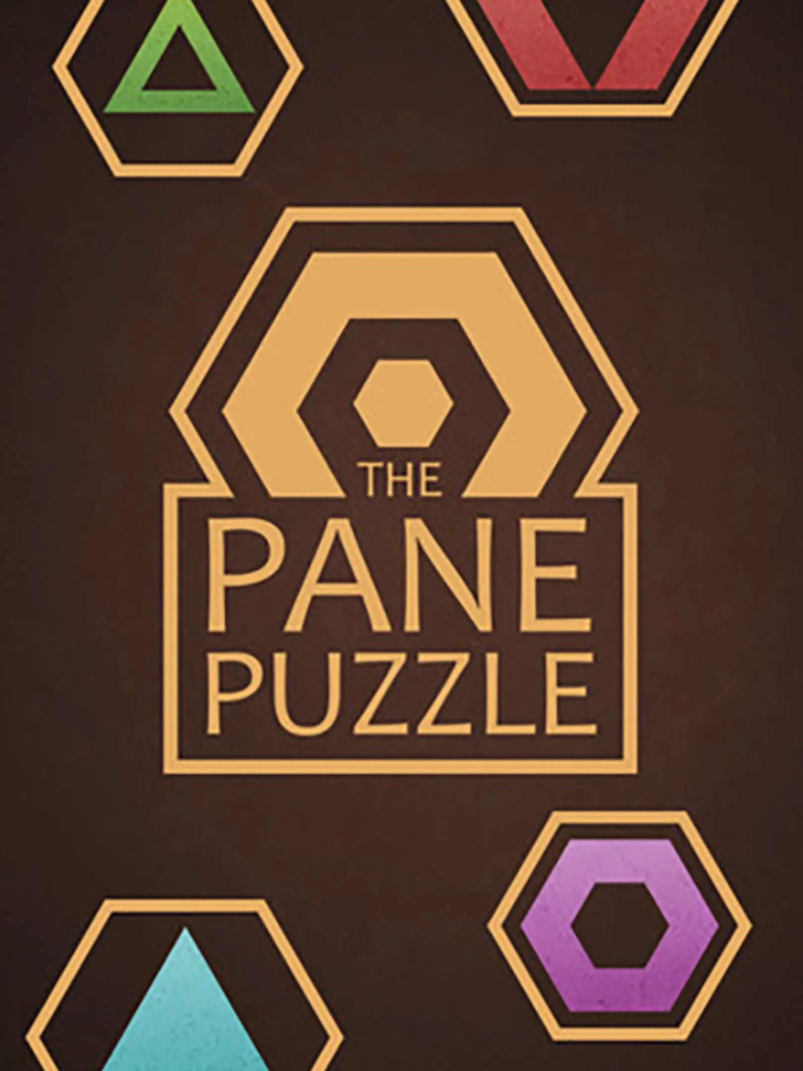 The Pane Puzzle | Stash - Games tracker