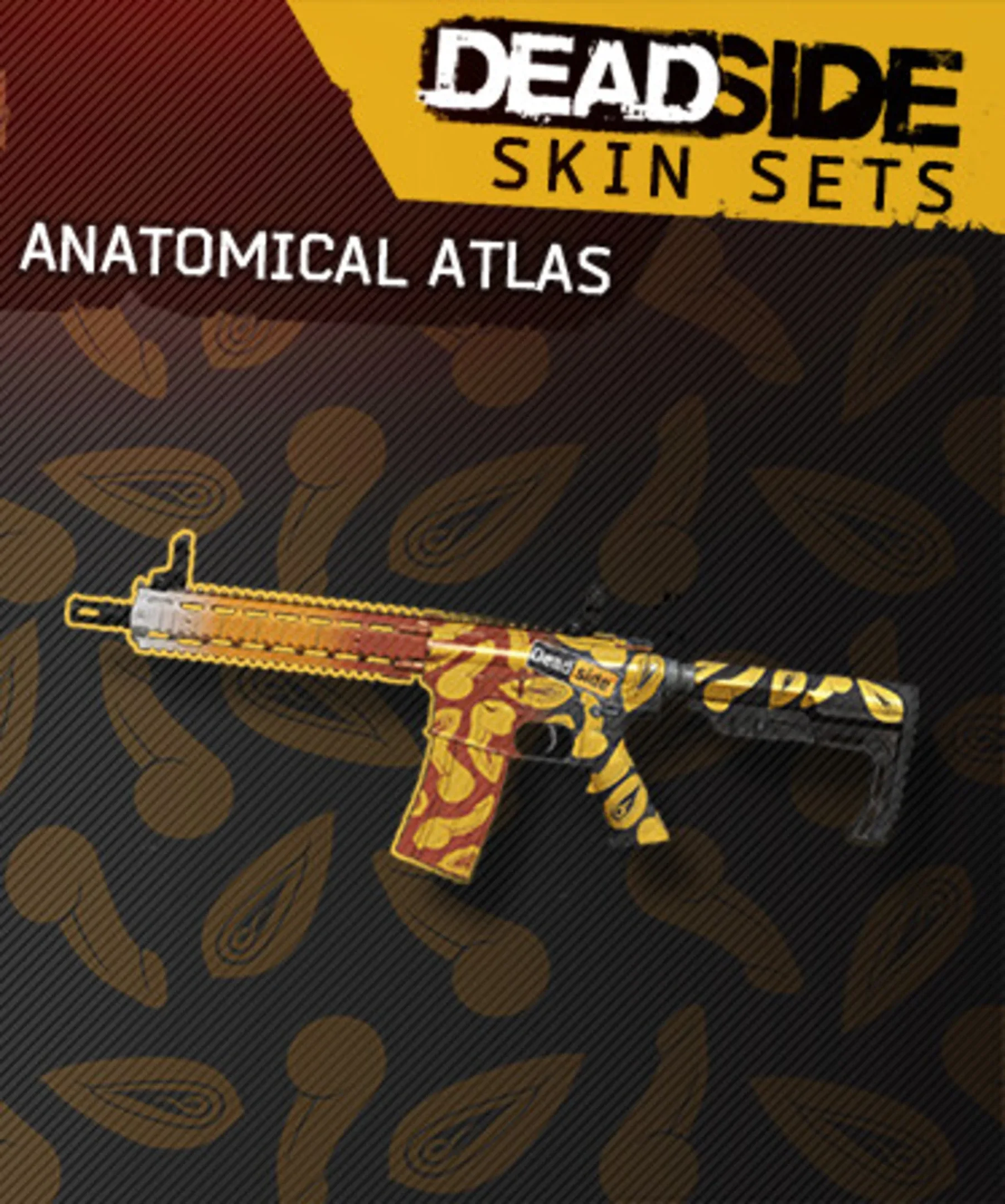 Deadside: "Anatomical Atlas" Skin Set | Stash - Games tracker