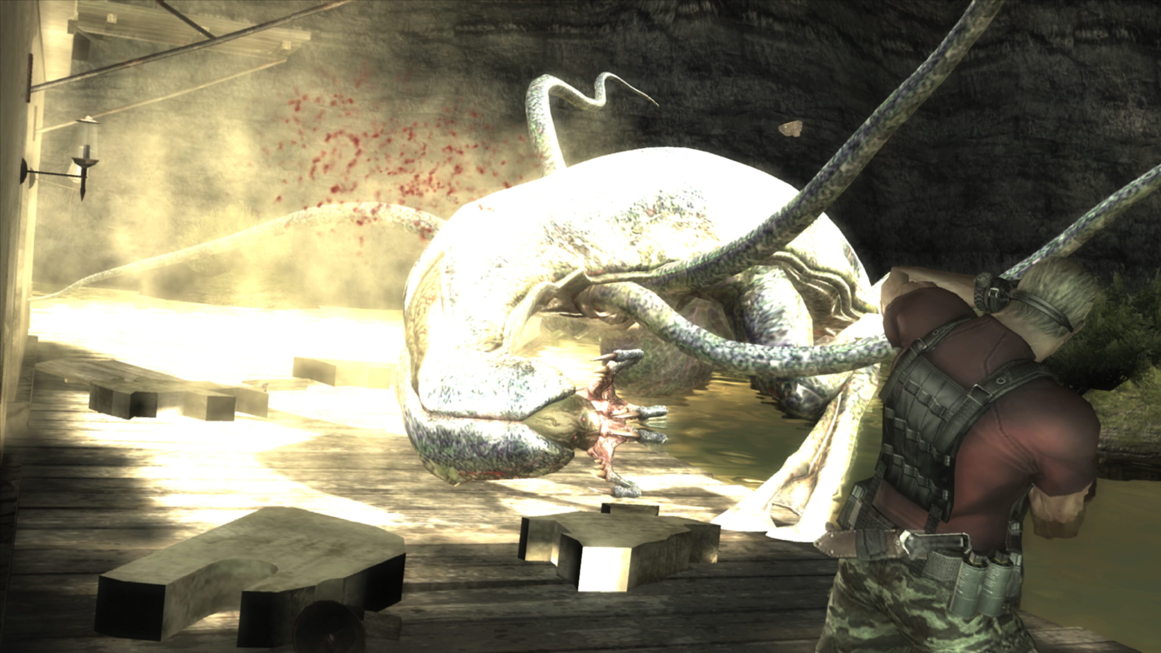 Resident Evil: The Darkside Chronicles (2009)