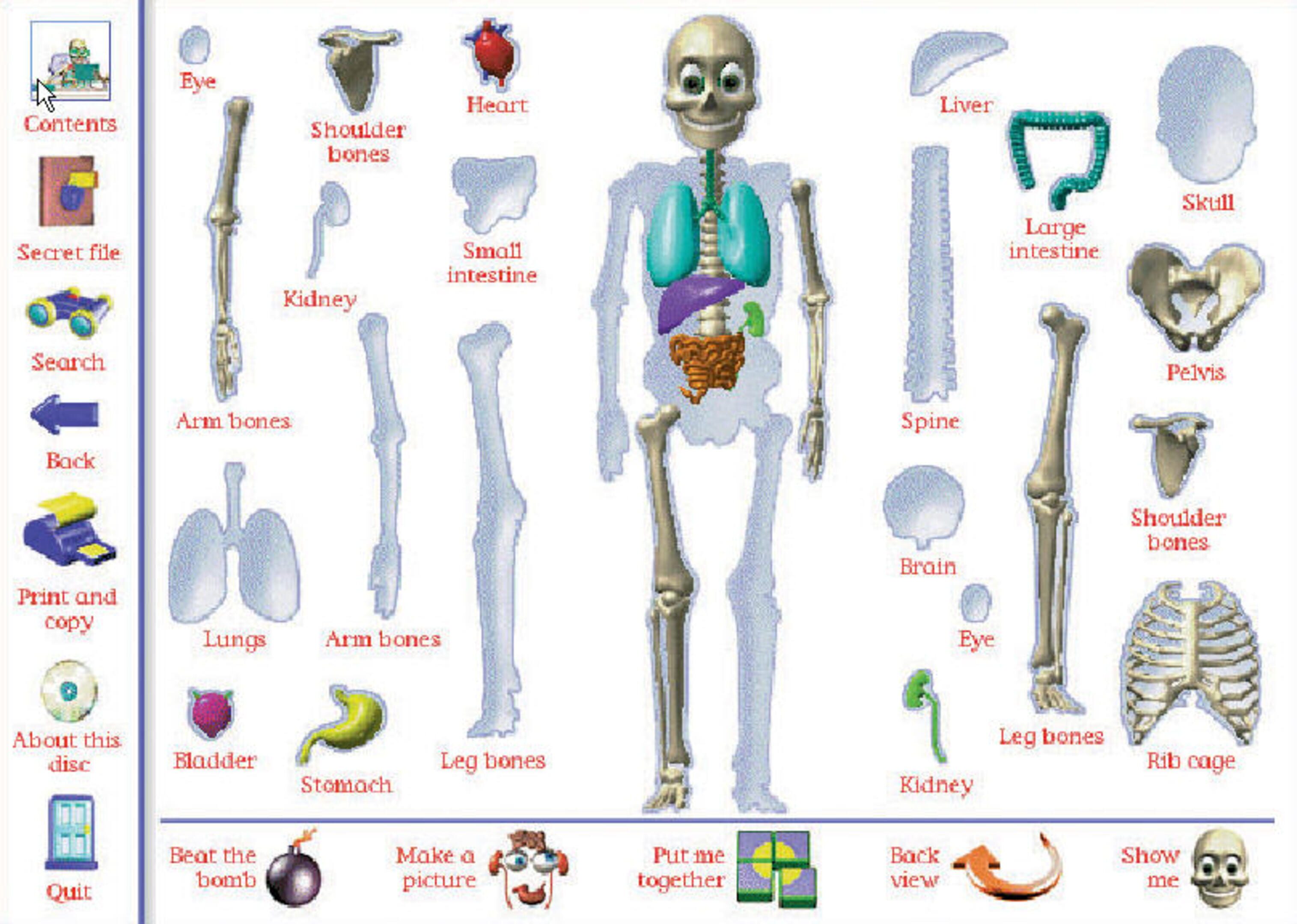My Amazing Human Body | Stash - Games tracker