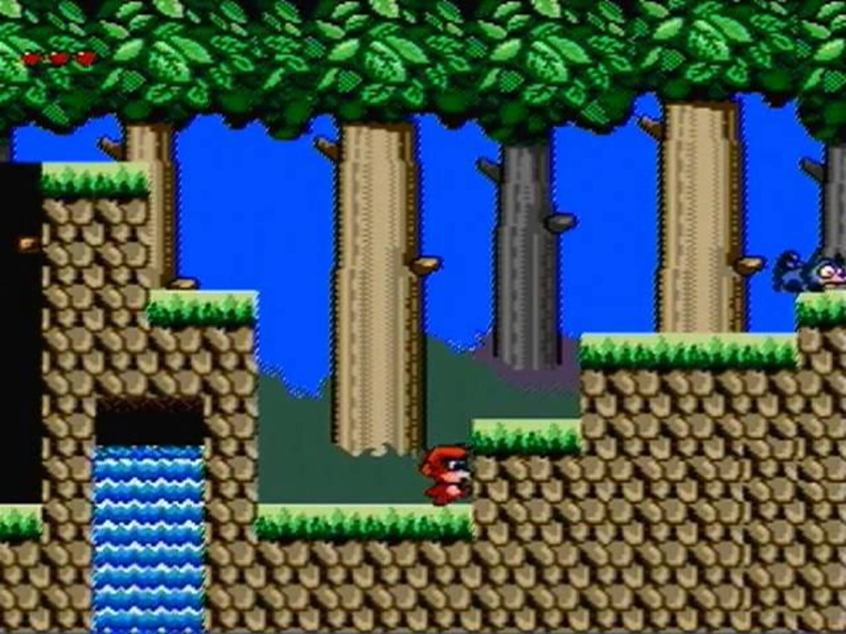 Curly Monkey | Stash - Games tracker