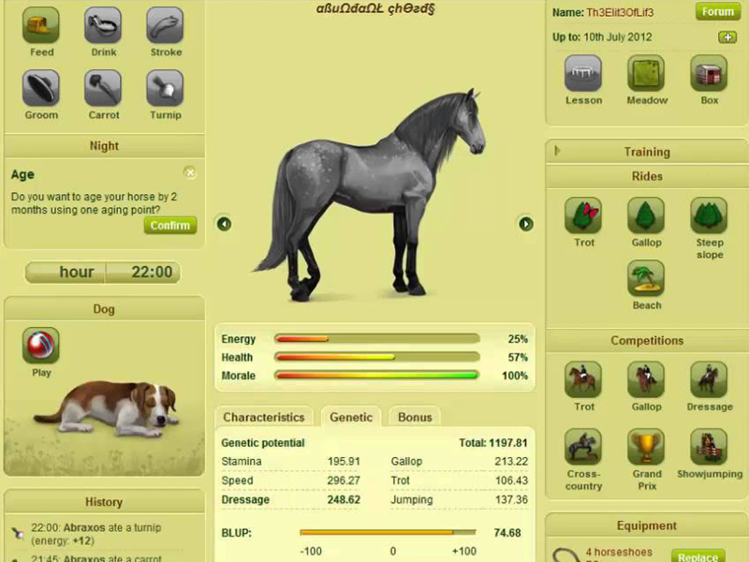 Howrse | Stash - Games tracker