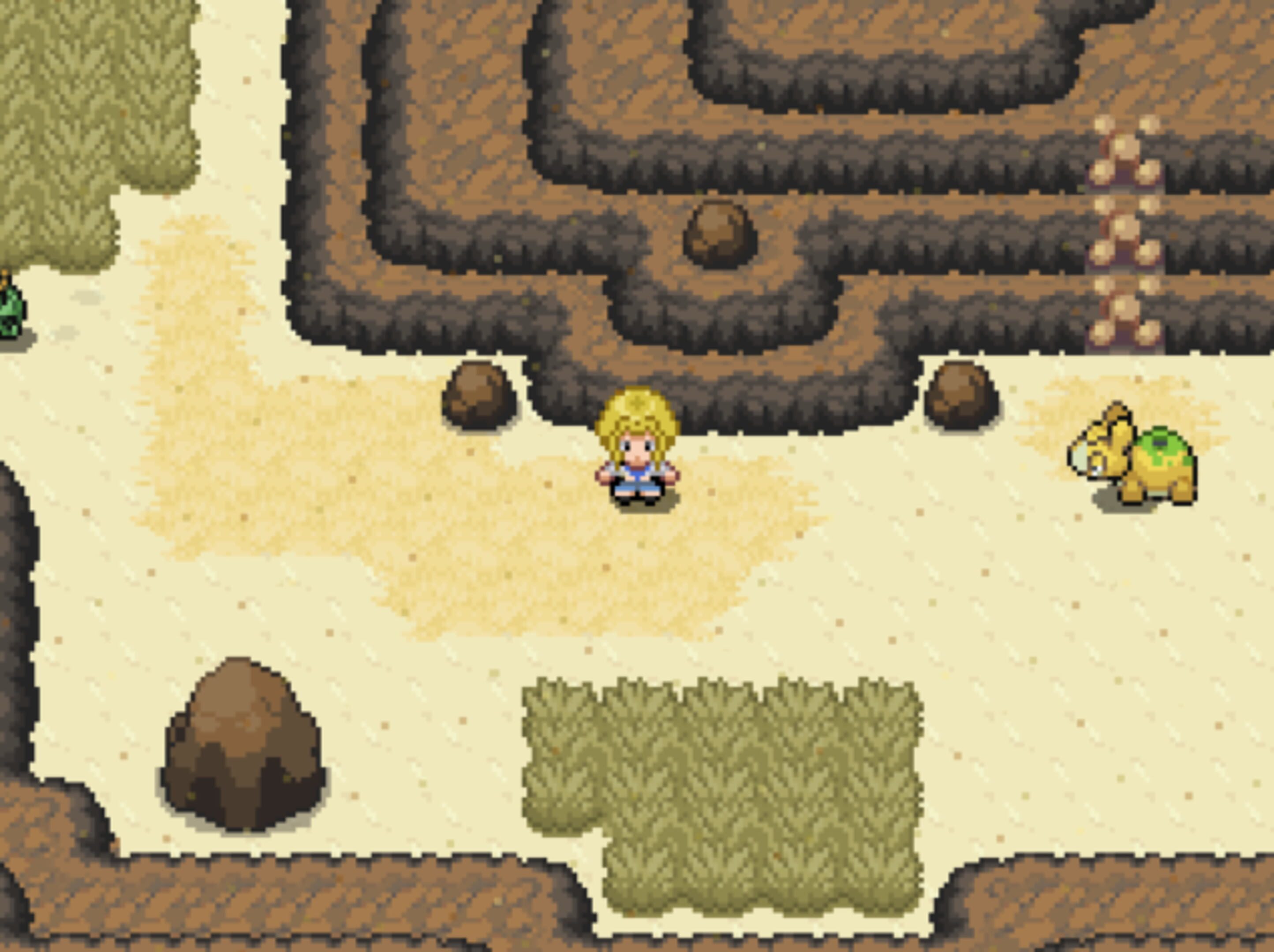 Pokémon Altar (2022)