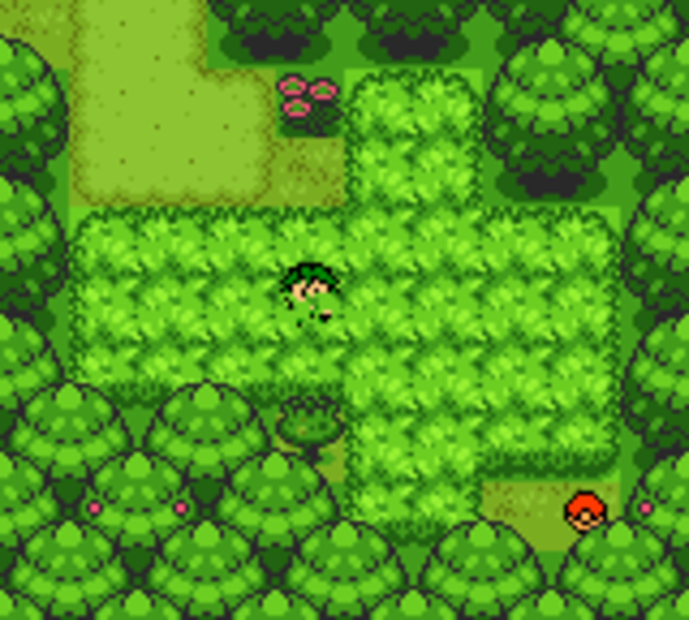 Pokémon Prism (TBD)