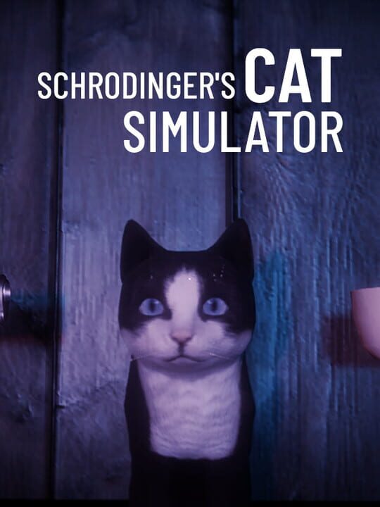Schrodinger's cat simulator - game overview