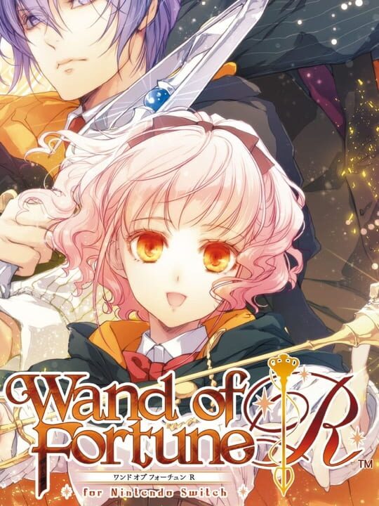 Wand of Fortune R for Nintendo Switch | indienova GameDB 游戏库