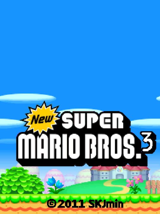 New Super Mario Bros 3. DS | indienova GameDB 游戏库