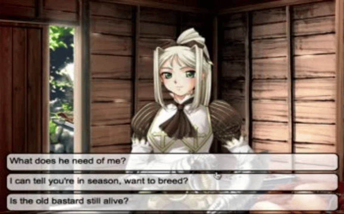 Meet'N'Fuck Kingdom - Press Kit