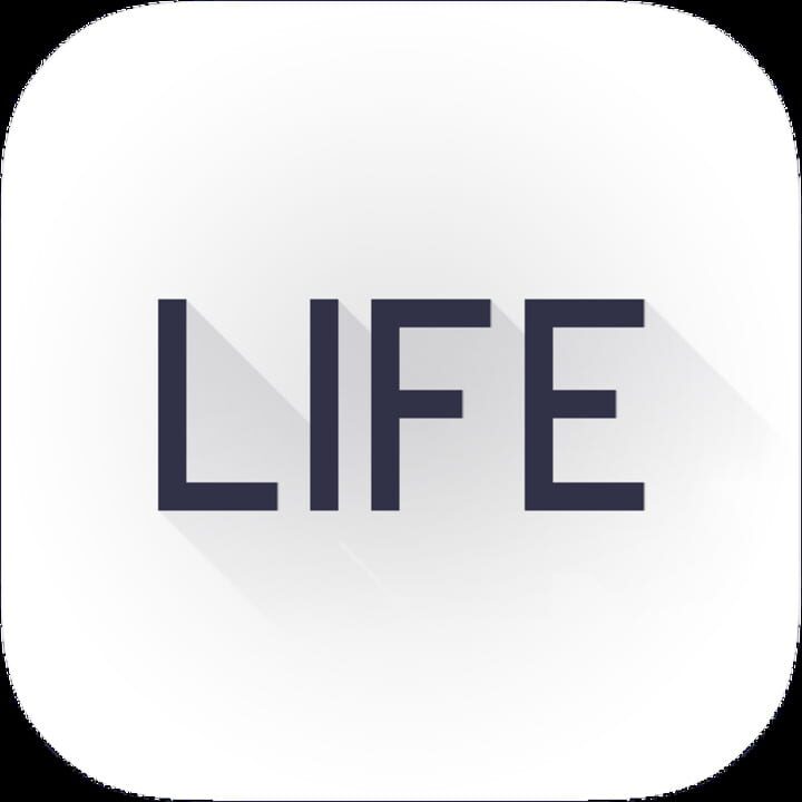 Life Simulator - game overview