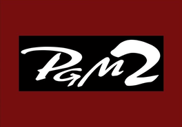 IGS PolyGame Master 2