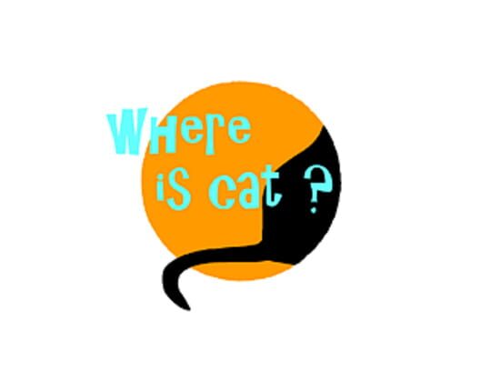 Where is cat? (2015)