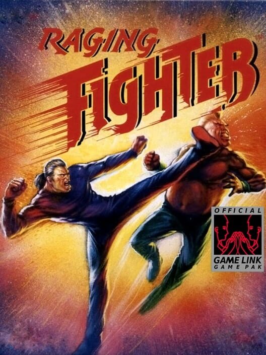 Raging Fighter (1993)