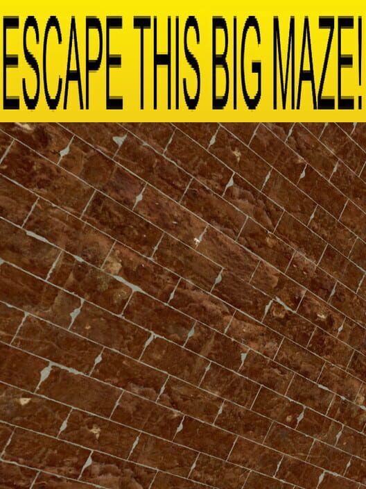 Escape This Big Maze! (TBD)