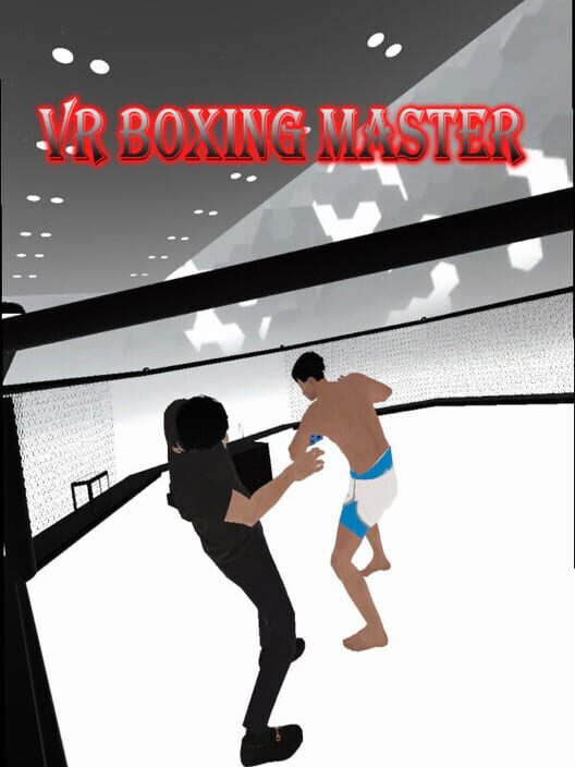 VR Boxing Master (TBD)