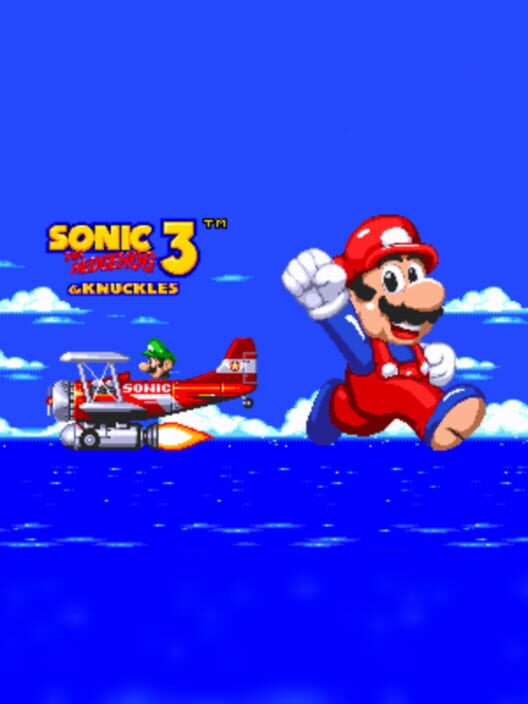 Super Mario in Sonic 3 AIR (2022)