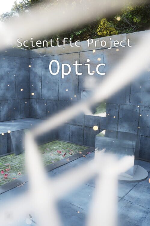 Scientific Project: Optic