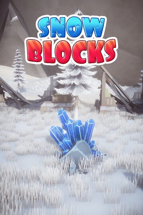 Snow Blocks