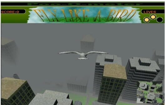Fly Like a Bird (2005)