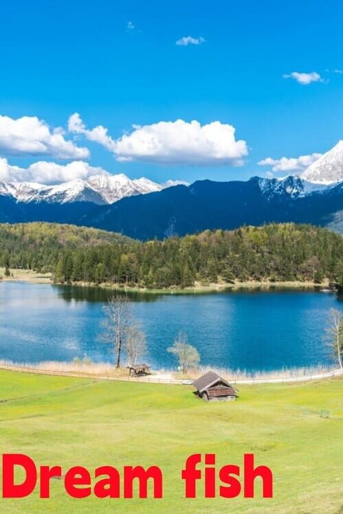 Dream Fish (2024)