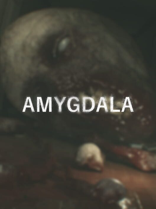 Amygdala (2024)