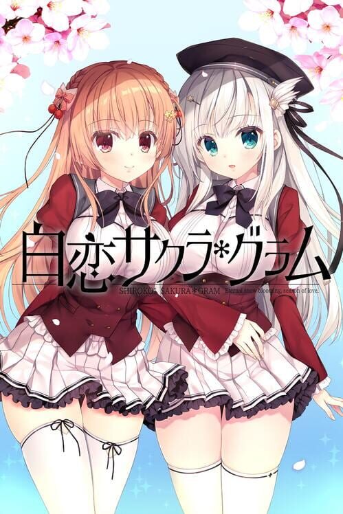 Shirokoi Sakura Gram (2025)