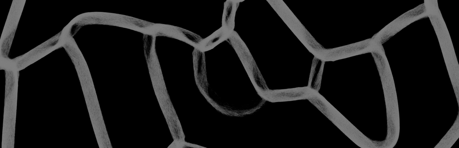 Physarum: Slime Mold Simulator (2021)