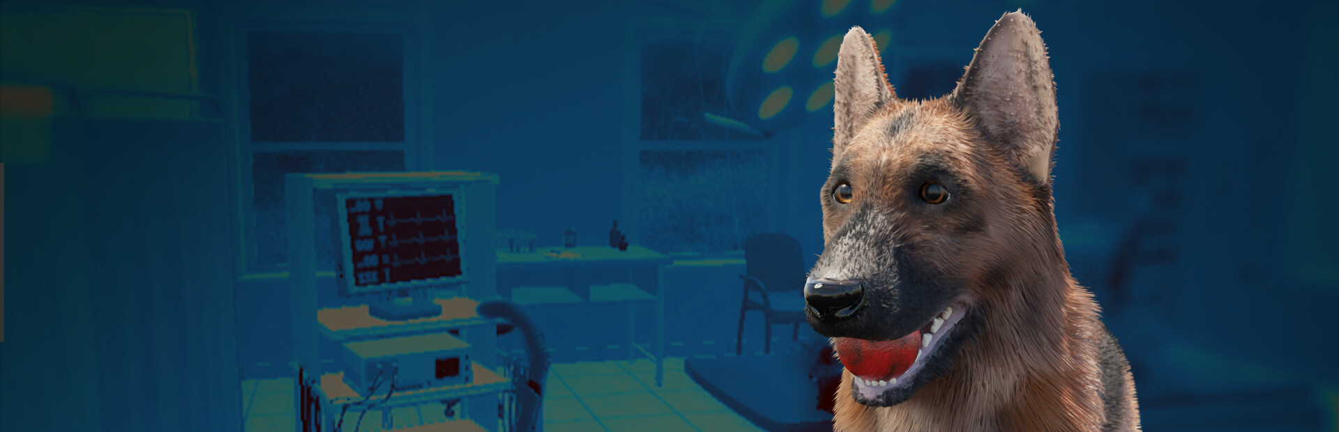 VetVR: Veterinary Simulator - Press Kit