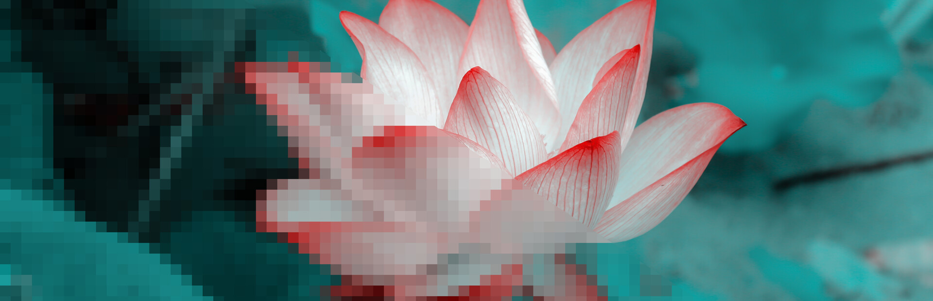 Clear Mosaic - Press Kit