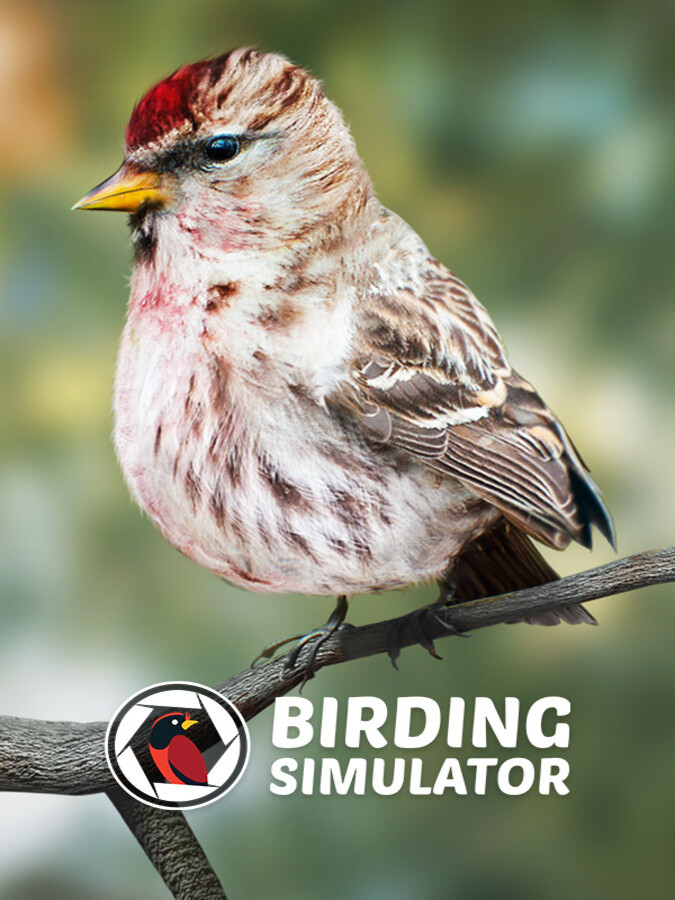 Birding Simulator - Press Kit