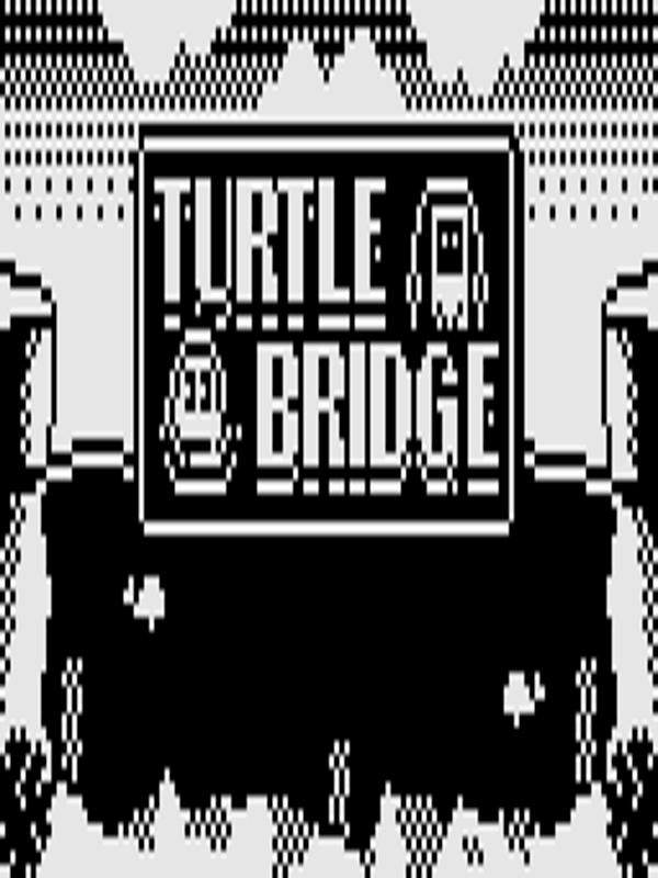 Turtle Bridge (2019)