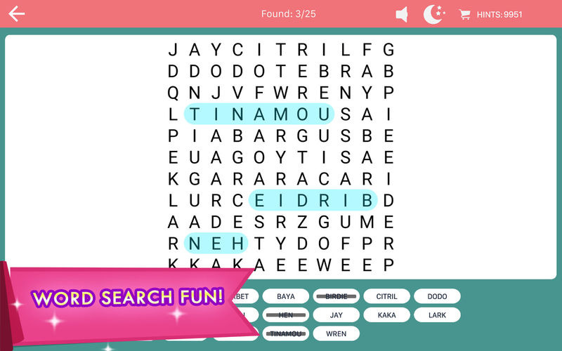 Word Search Fun (2018)