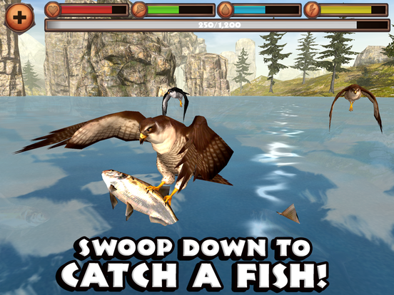 Falcon Simulator (2015)