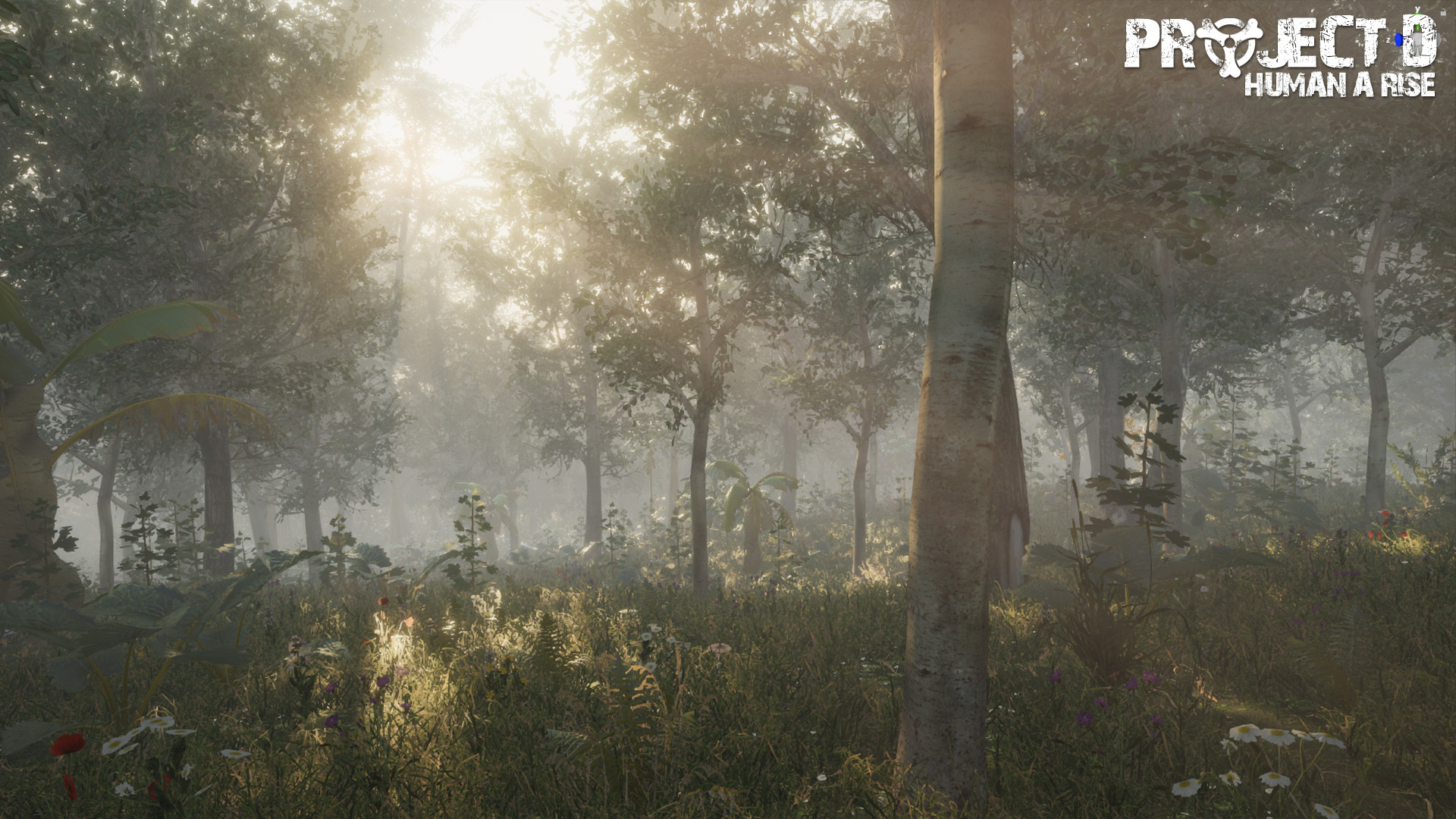 Project D: Human Risen - Press Kit