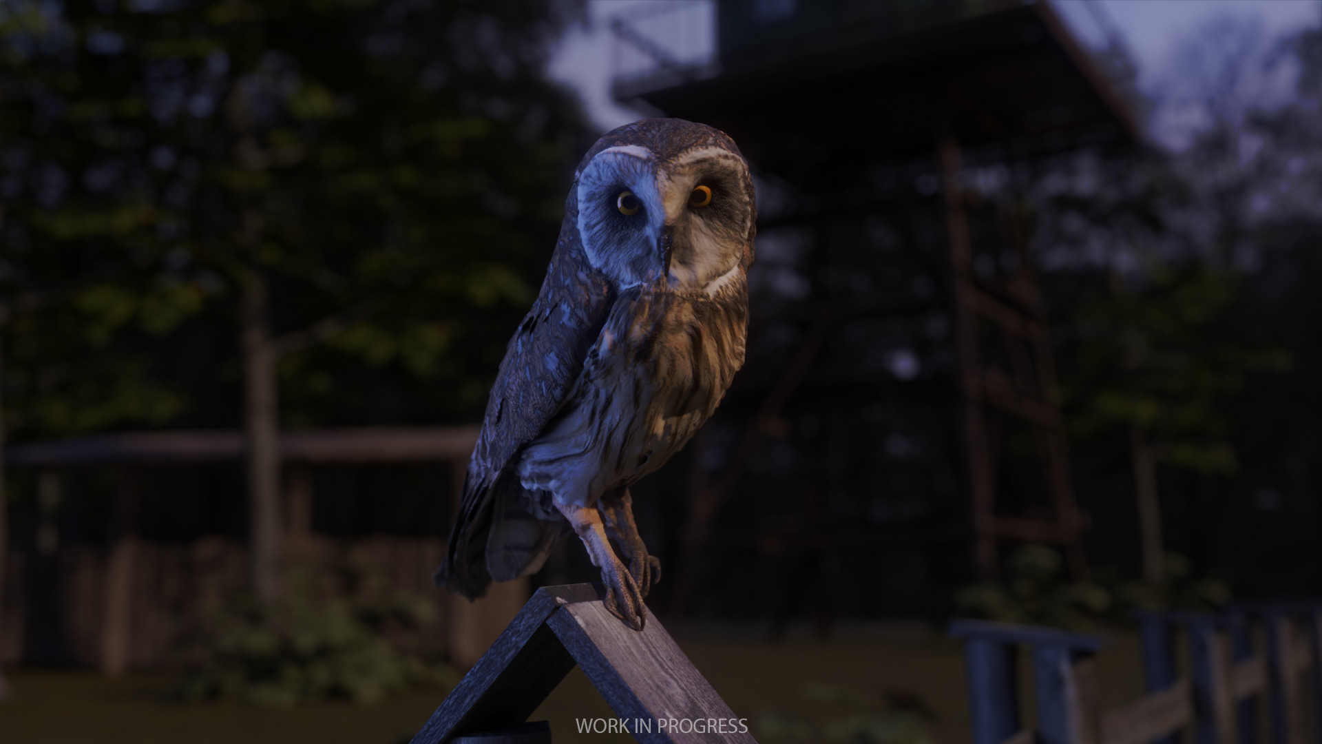 Birding Simulator - Press Kit