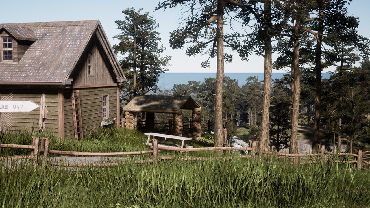 Dynaforce - Press Kit