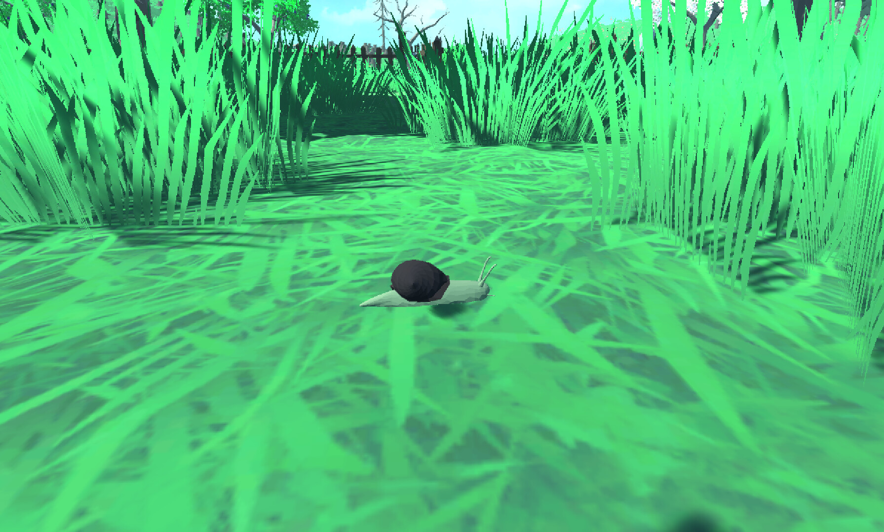 Snail Simulator - Press Kit