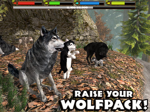 Ultimate Wolf Simulator - Press Kit