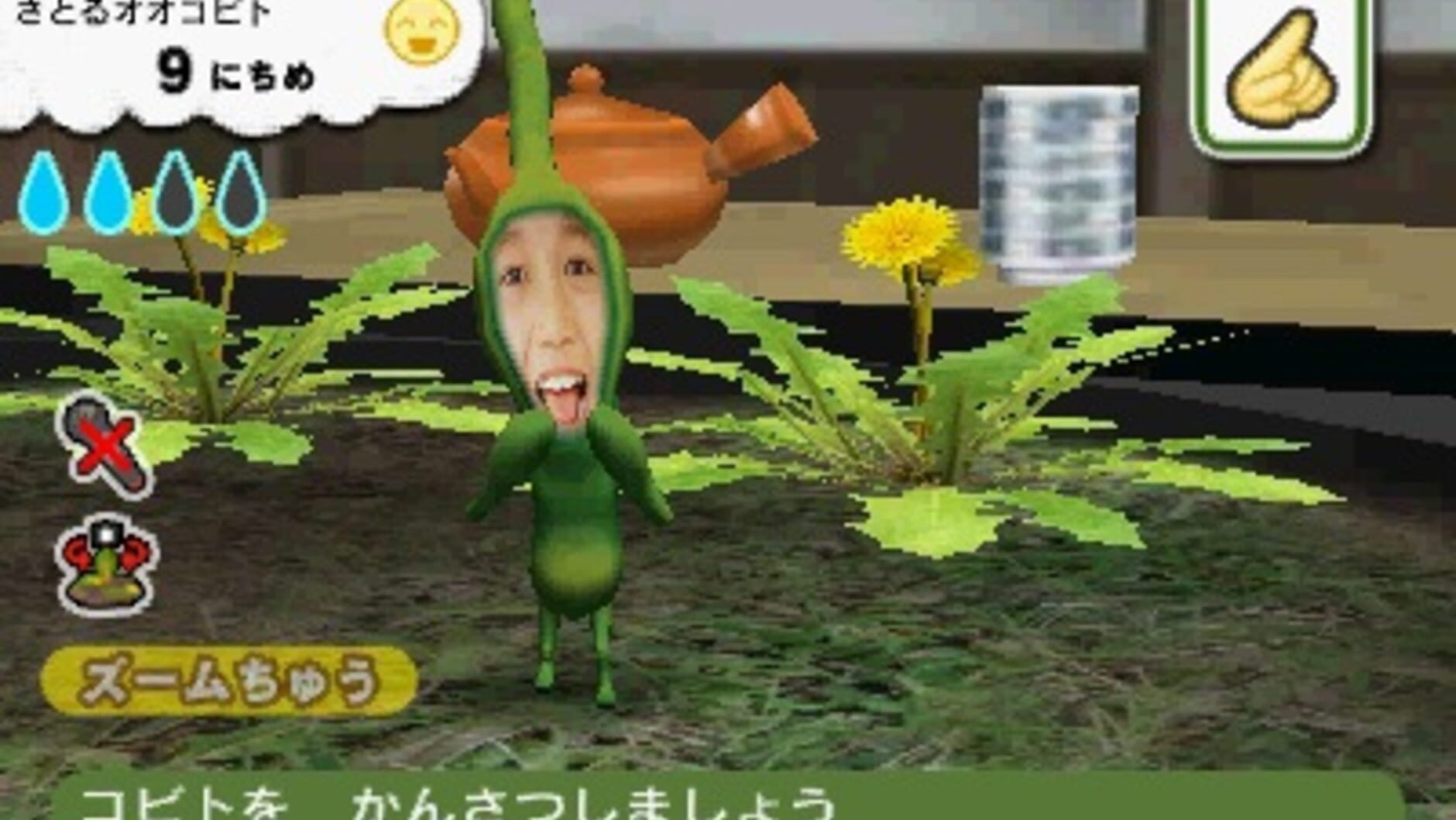 Kobito-zukan: Kobito Kansatsu Set Game Information - MyBacklog