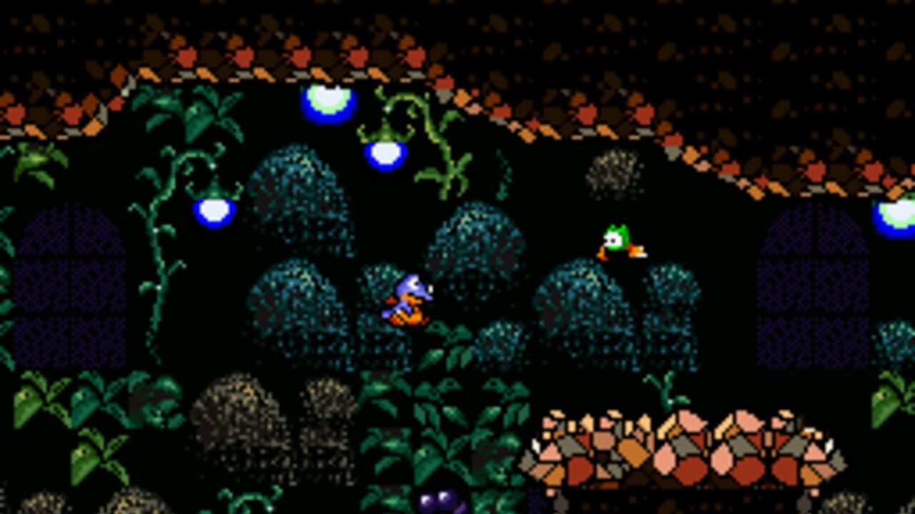 Mega Rex Island | Farzai